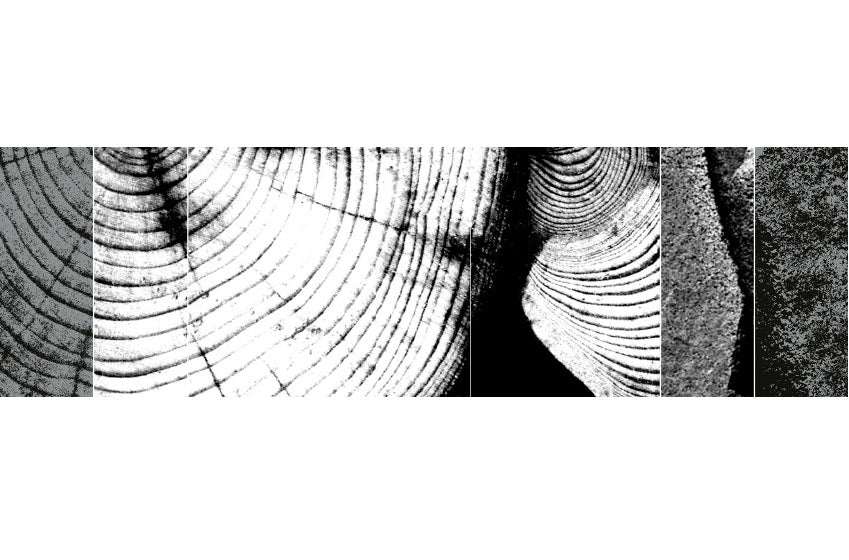 Signature Wood 2.50mm 88 Planks – ozfloor